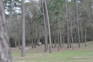 Telge Park & Nature Trail - Houston Parks Weeks... A New Day, A New ...