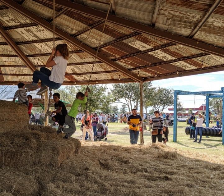Take the Kids to Dewberry Farm Fall Festival! – JillBJarvis.com