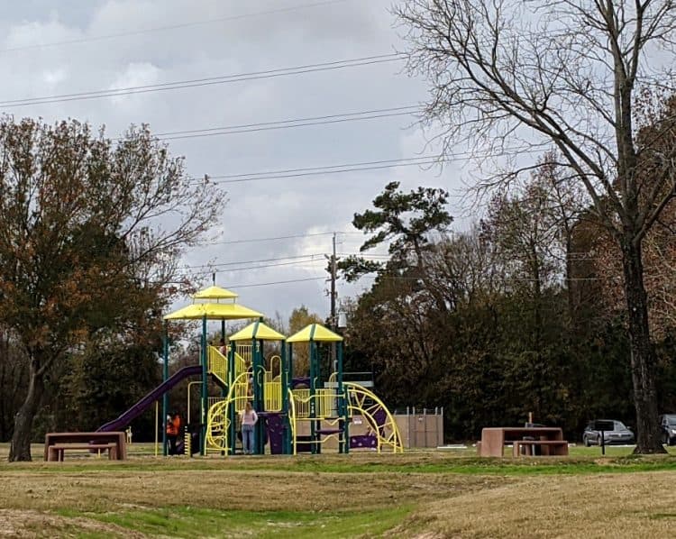 Champion Forest Park! – JillBJarvis.com