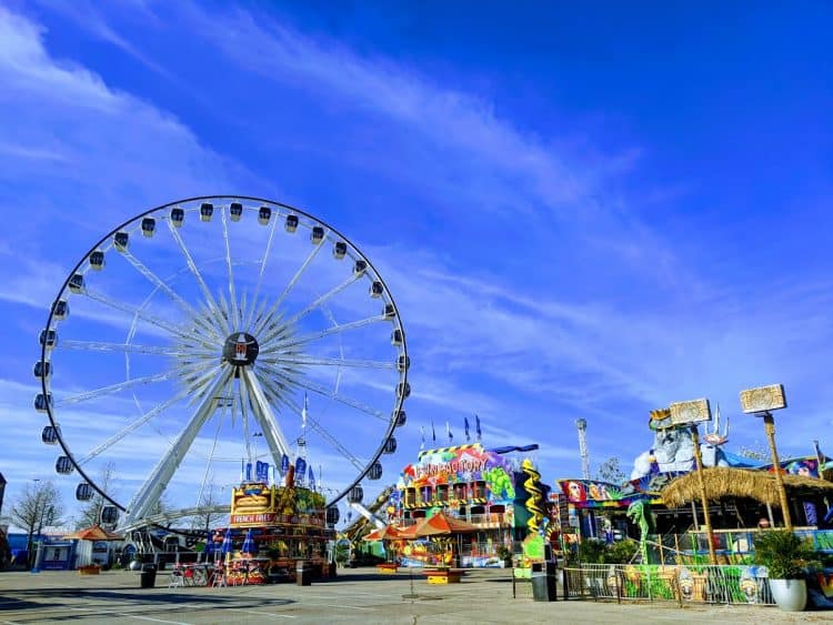 Rodeo Houston: Tips for taking kids! – JillBJarvis.com