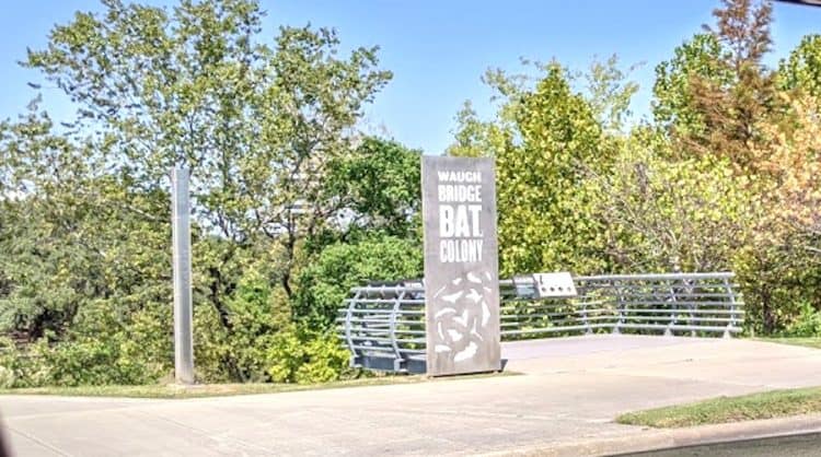 Waugh Bridge Bat Colony Field Trip... See 250,000 Bats Emerge ...