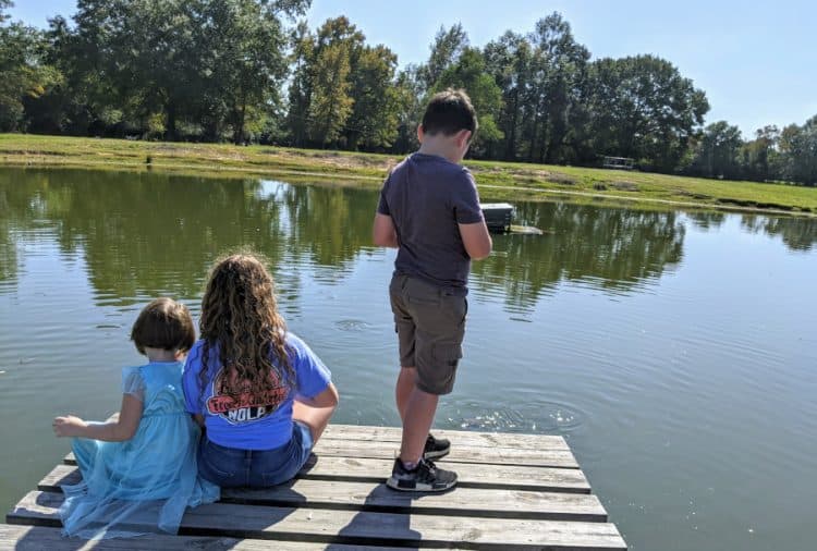 Meet All the Animals at The Good Vibe Farm – JillBJarvis.com