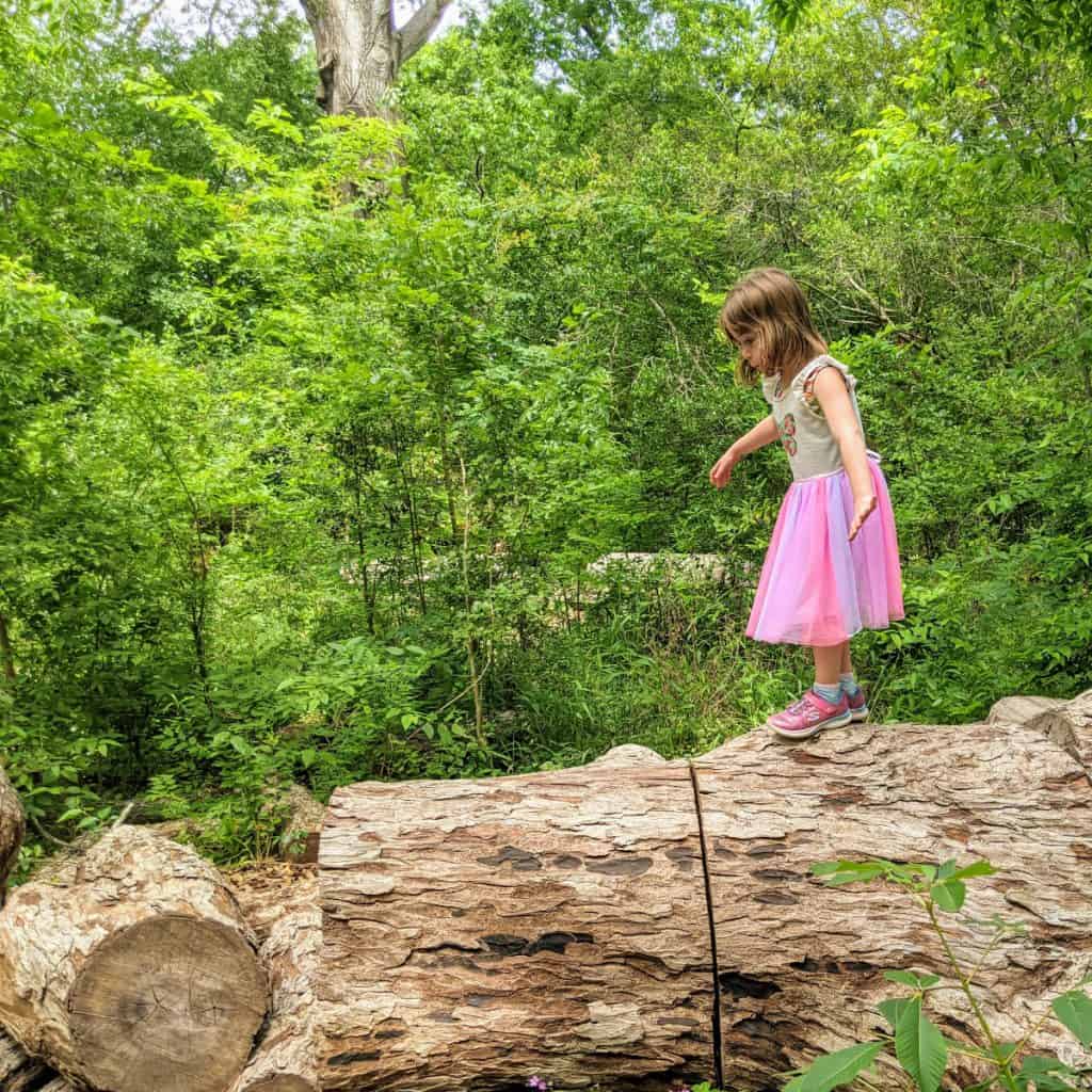 Have you seen the Nature Discovery Center lately? – JillBJarvis.com