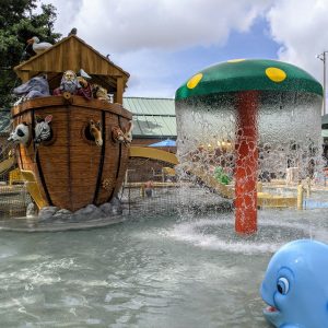 Noah's Ark Pool and Playground at Quillian Center – JillBJarvis.com
