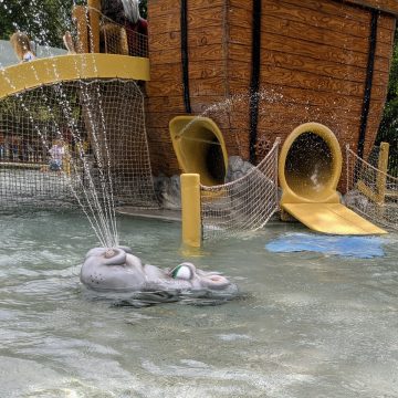 Noah's Ark Pool and Playground at Quillian Center – JillBJarvis.com