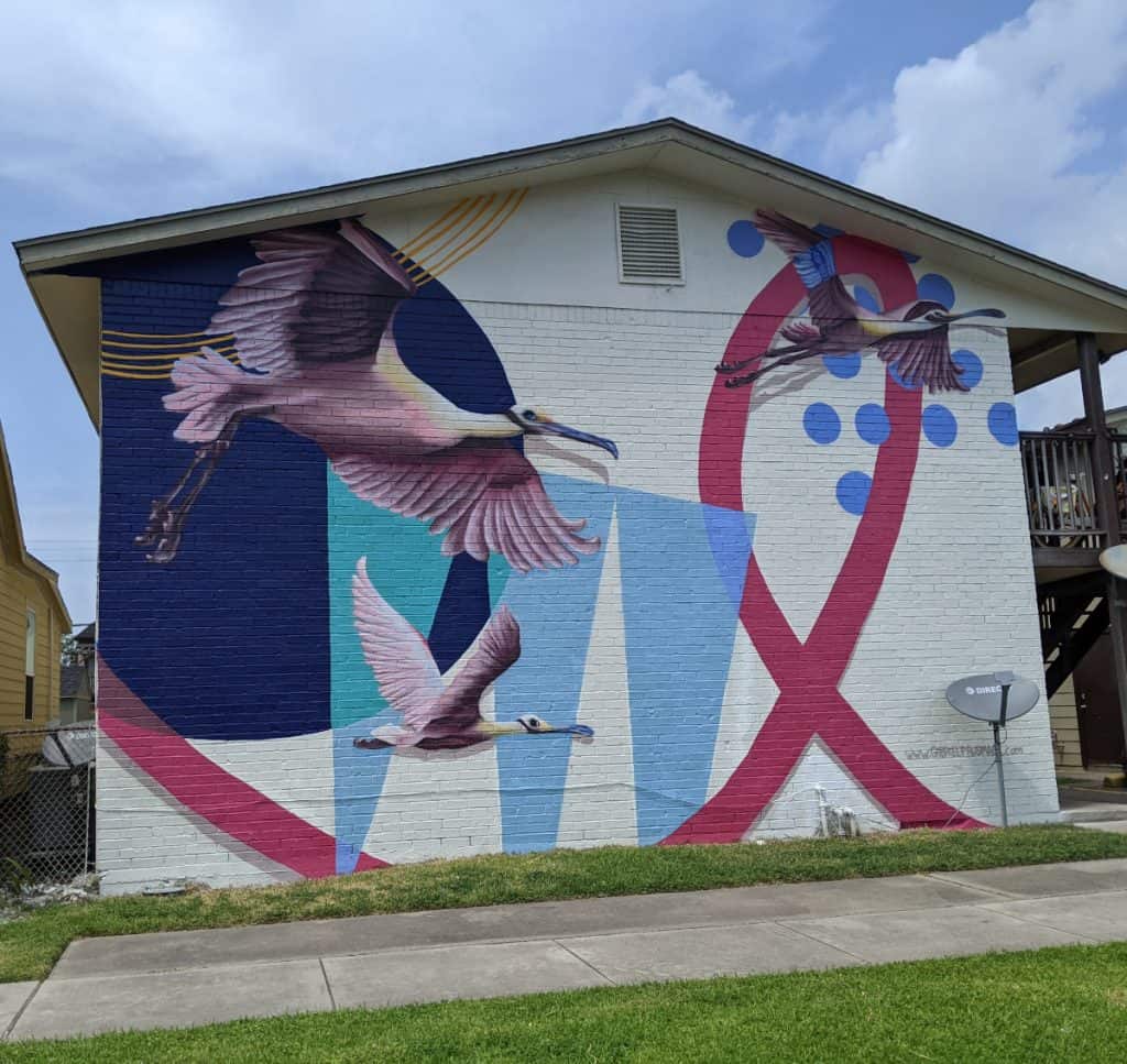 Galveston Bird Mural by Gabriel Prusmack – JillBJarvis.com