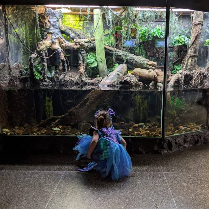 Find your City of Houston Recycling Schedule, Trash Schedule Heavy ...